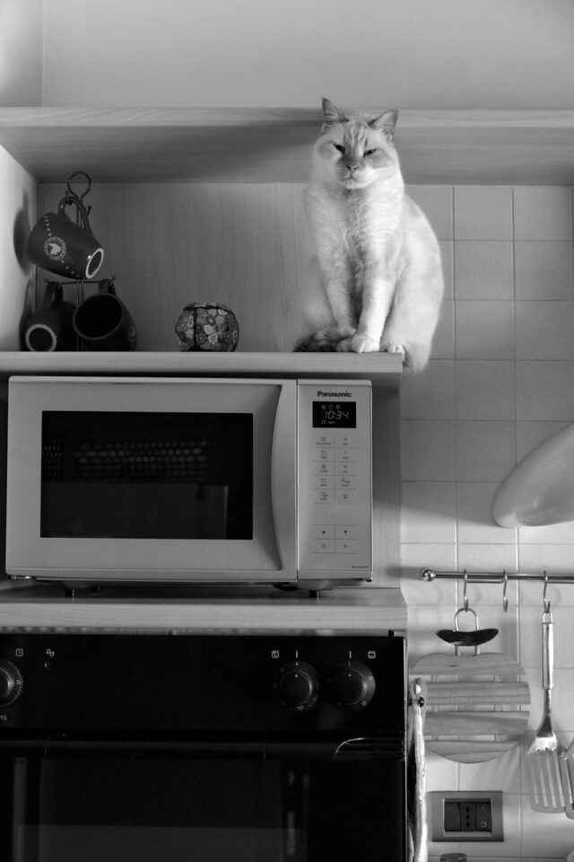 Tips To Use a Microwave Safely - Microwave Meal Prep